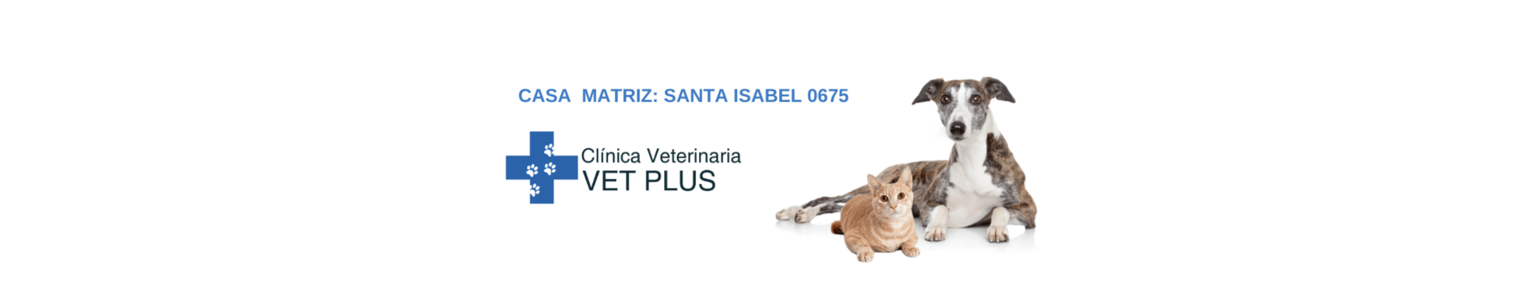 VET PLUS